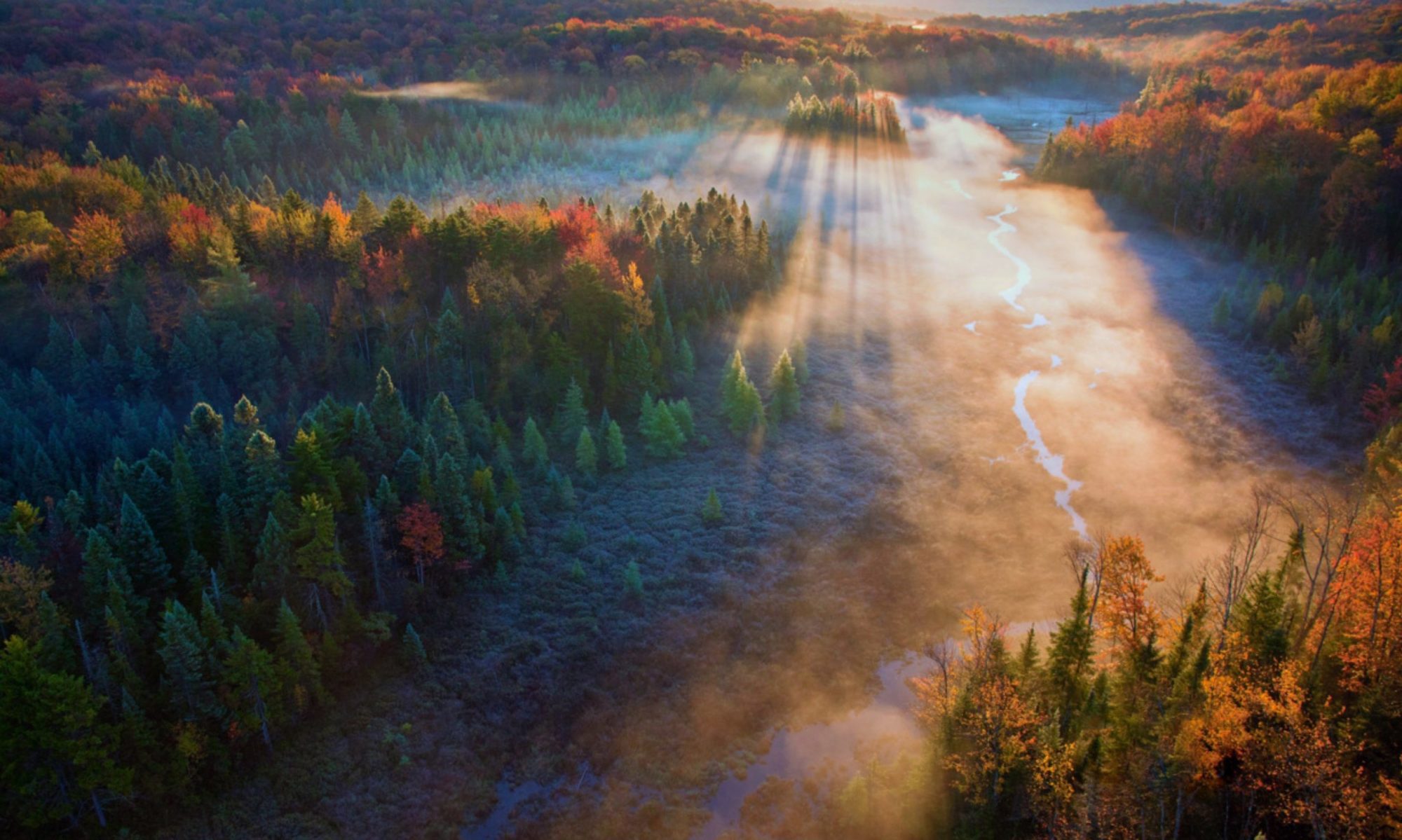 Flooreo.ge – Flooreo – harmony of nature and technology in every product